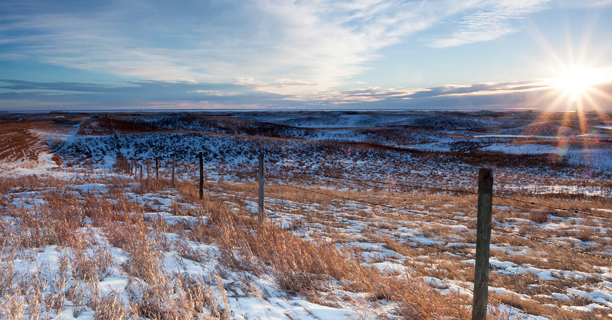 ESG Remains Top of Mind for Canadian Public Sector Borrowers | RBCCM
